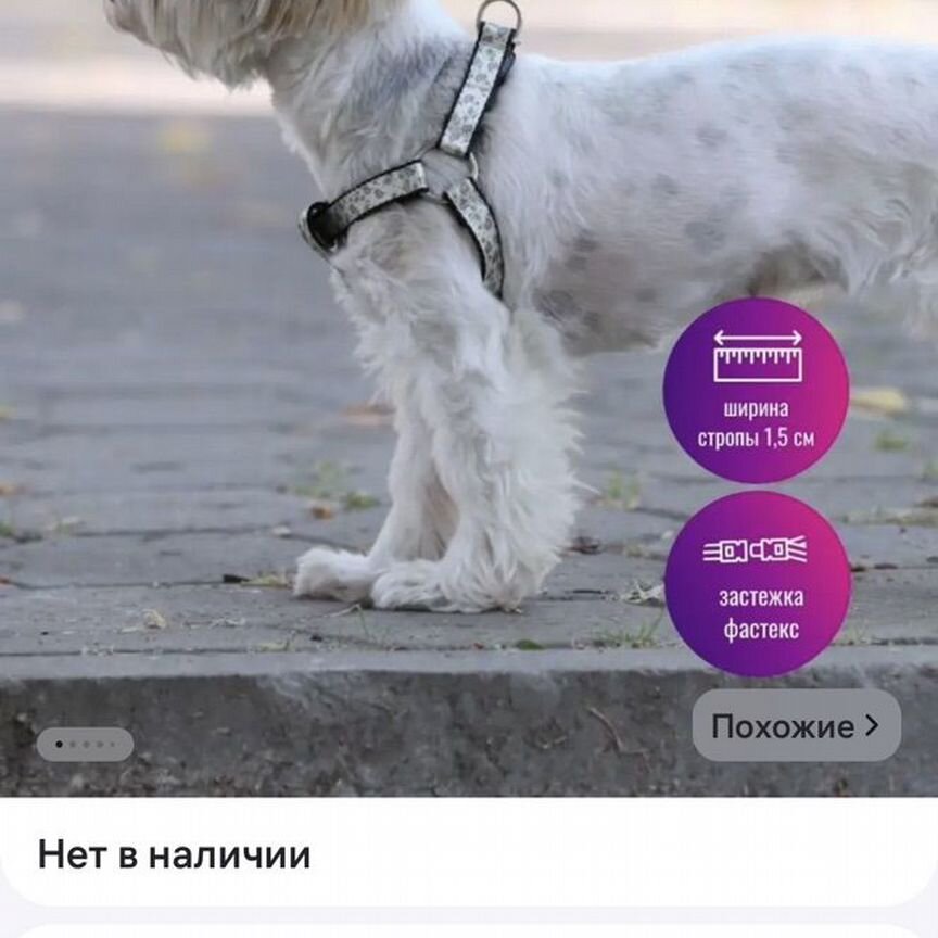 Шлейка для средней собаки 2 штуки