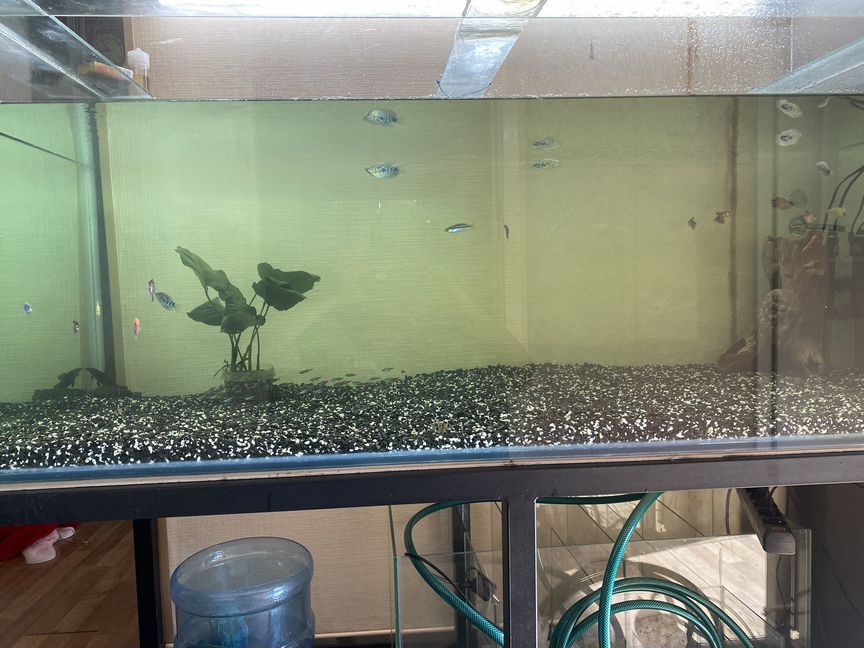 Вкваниум 600 литров со всеми принадлежностями