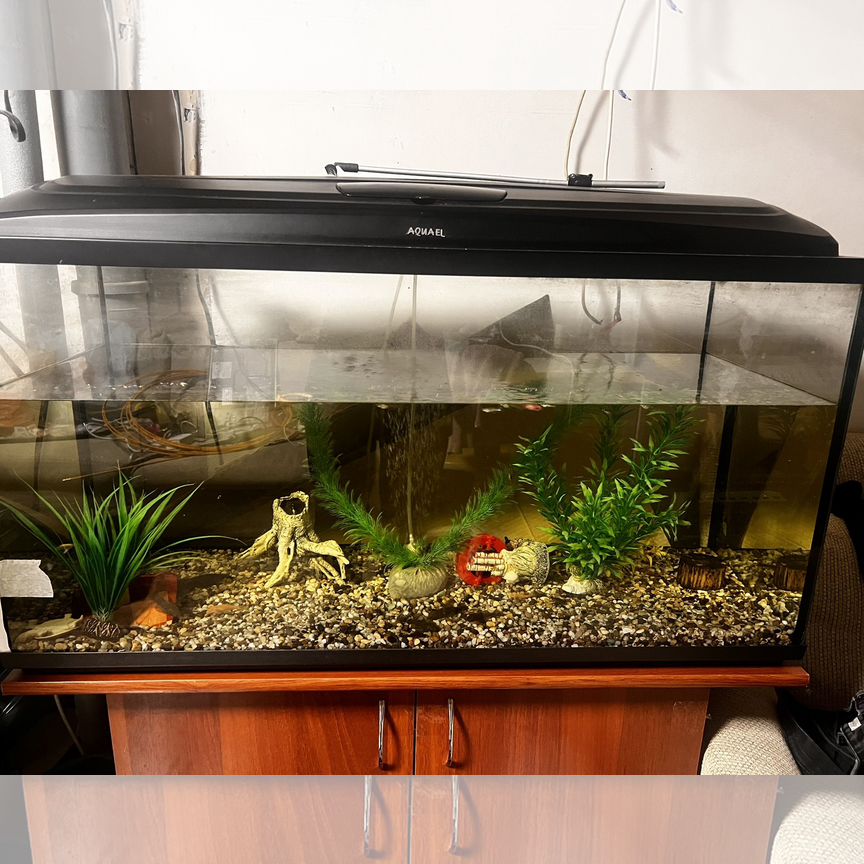 Аквариум aquael 200 литров с рыбками