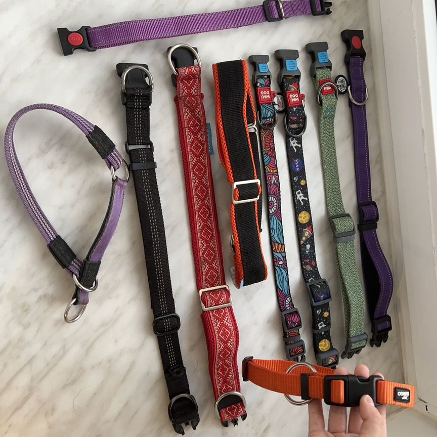 Амуниция для собак