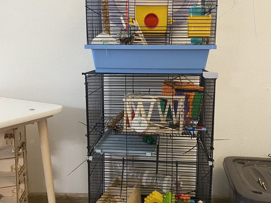 Клетка для хомяков 2 штуки