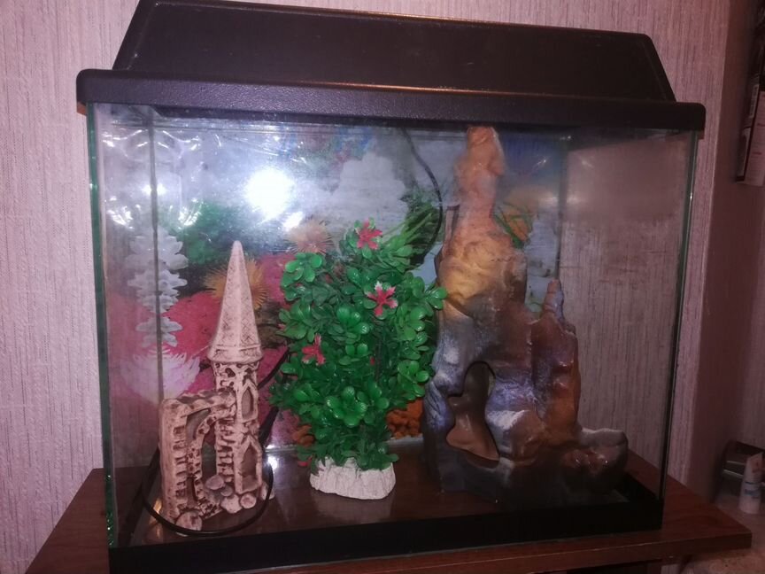 Аквариум с тумбой бу