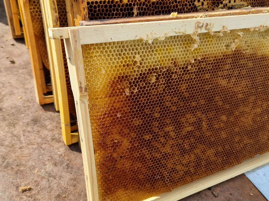 Рамки с вощиной,сушь