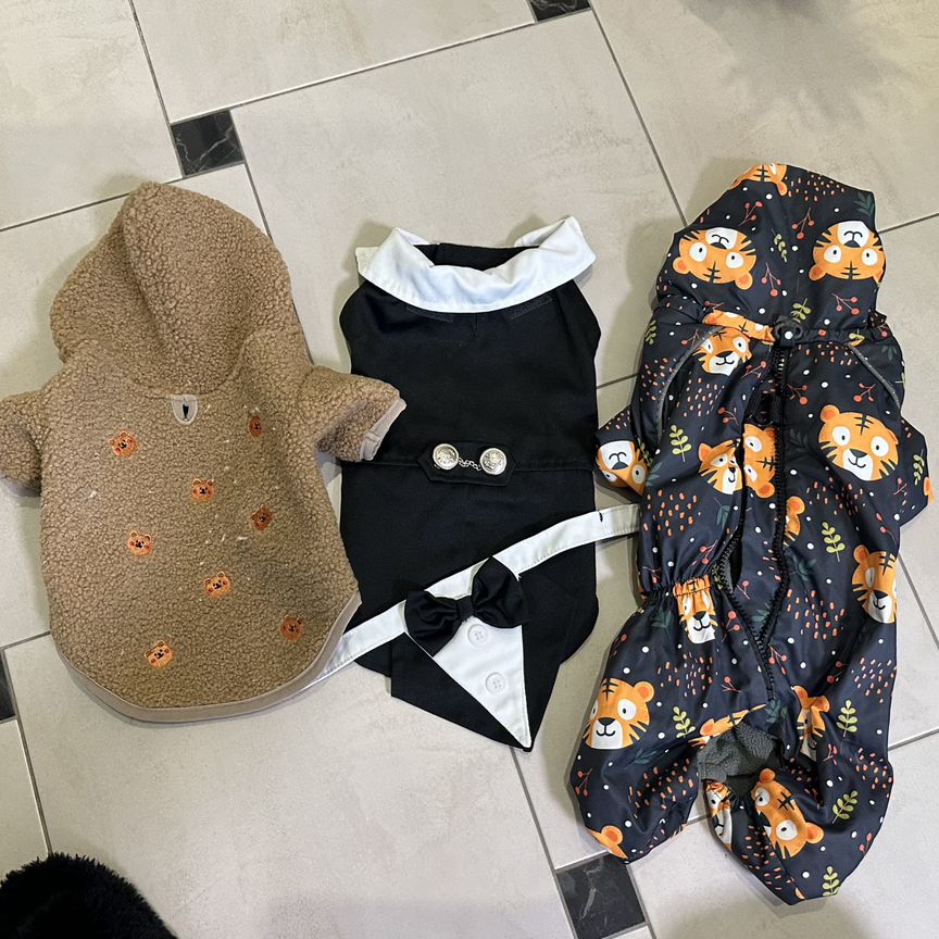 Одежда для маленьких собак пакетом