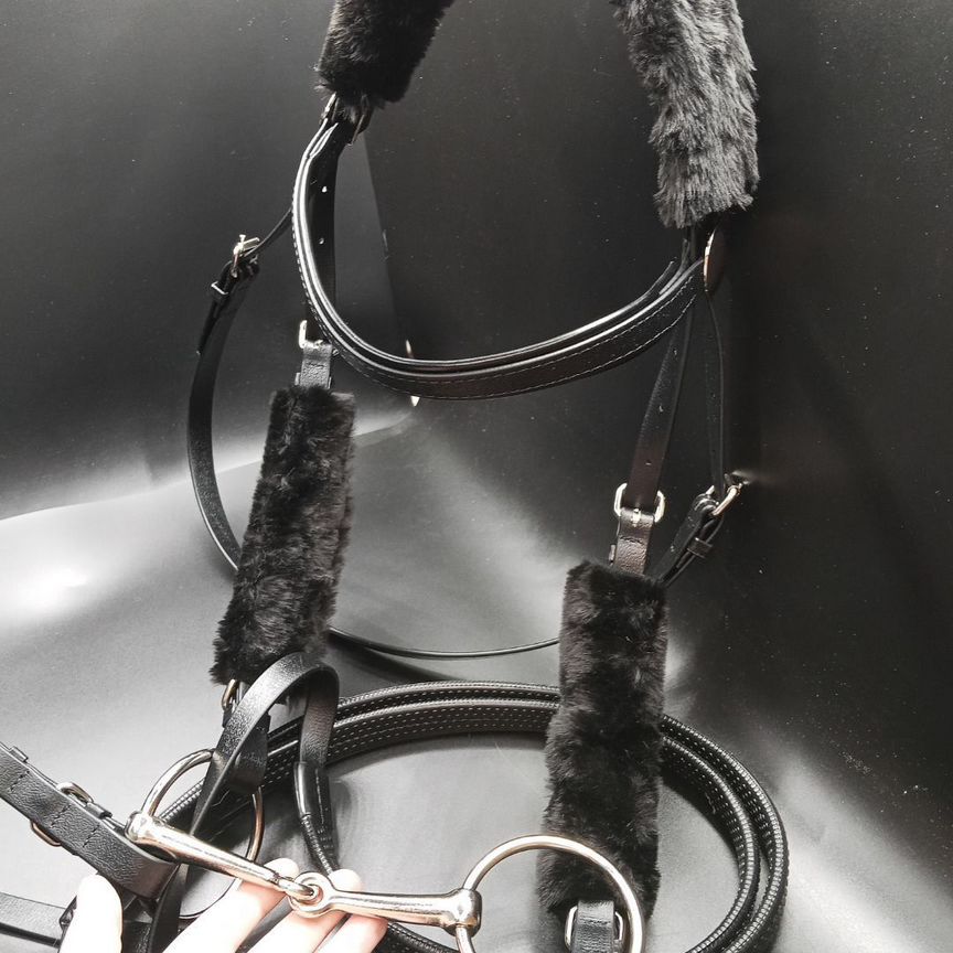Оголовье на лошадь (Full)