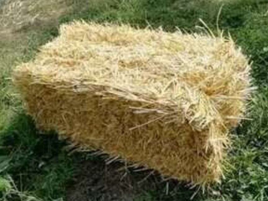 Солома зерновая в тюках