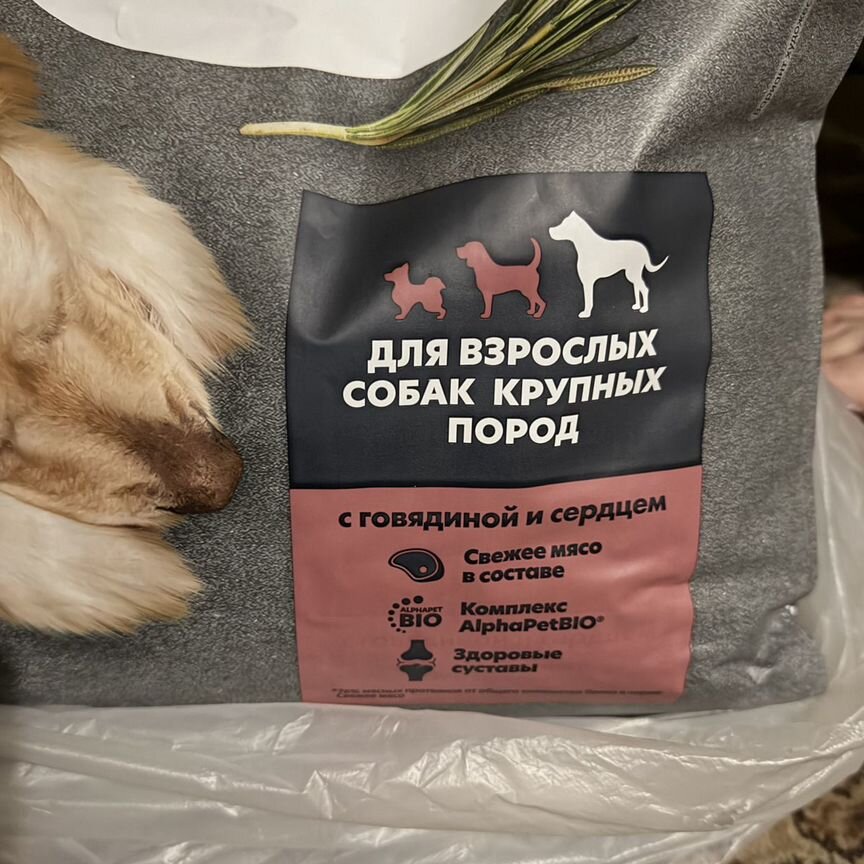 Сухой корм для собак