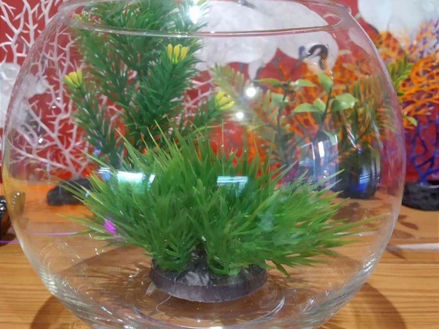 Декор для аквариума