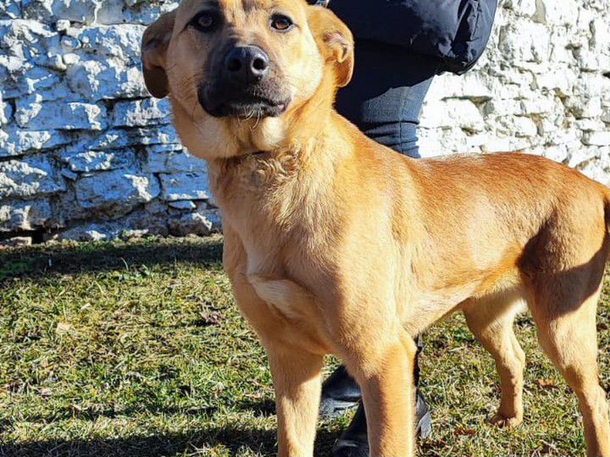 Очаровашка ждёт мамочку