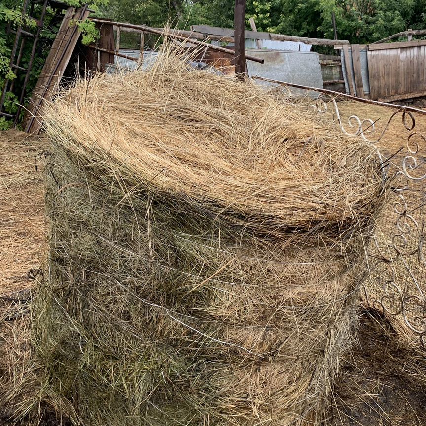 Сено в тюках