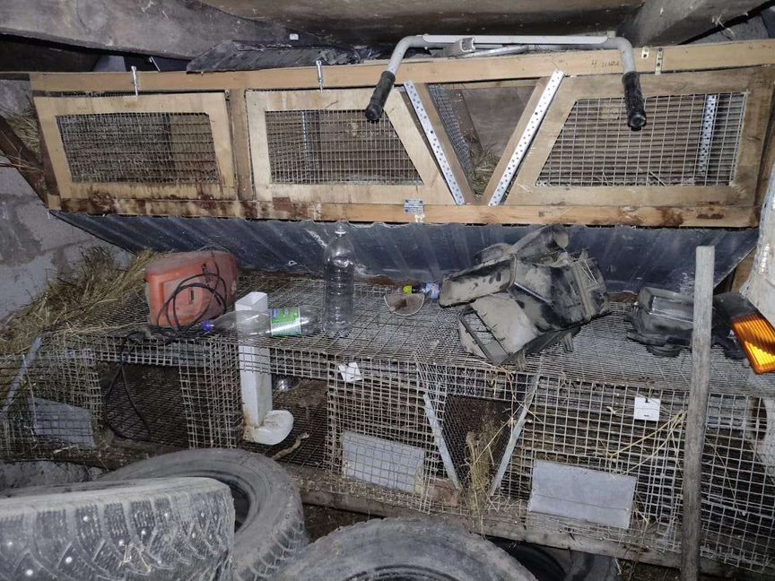 Клетка для кролика