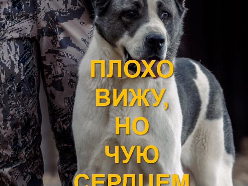 Чувствую сердцем, ищу своего