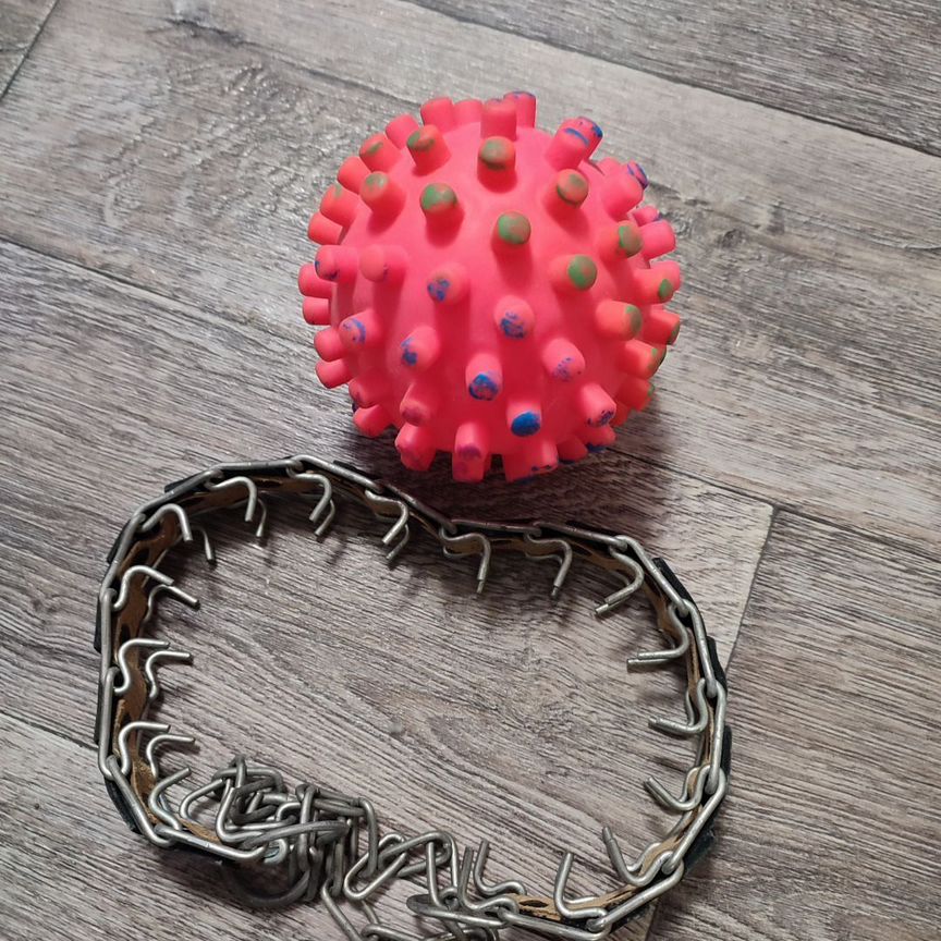 Мяч и ошейник для собаки