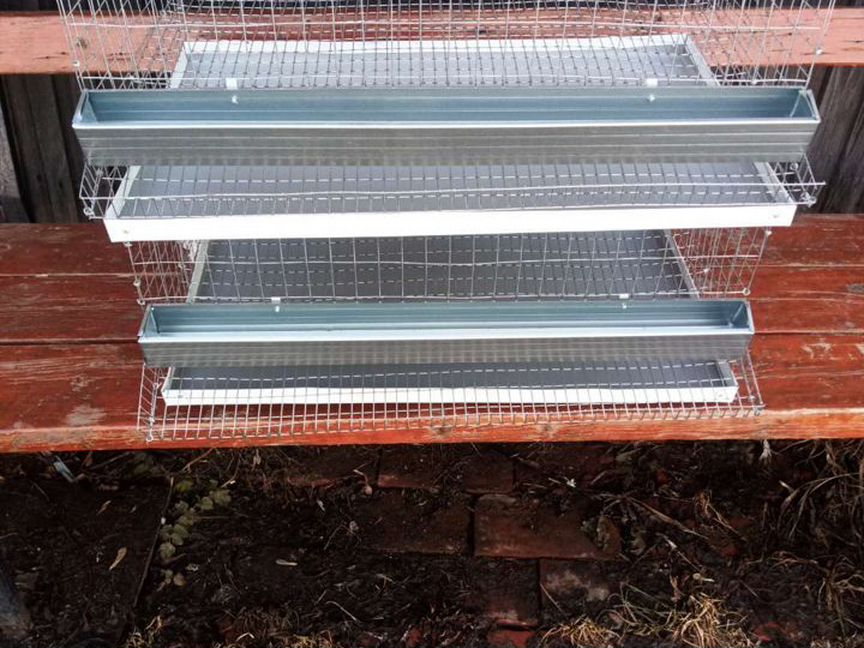 Клетки для перепелов