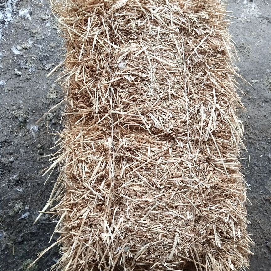 Солома в тюках пшеничная