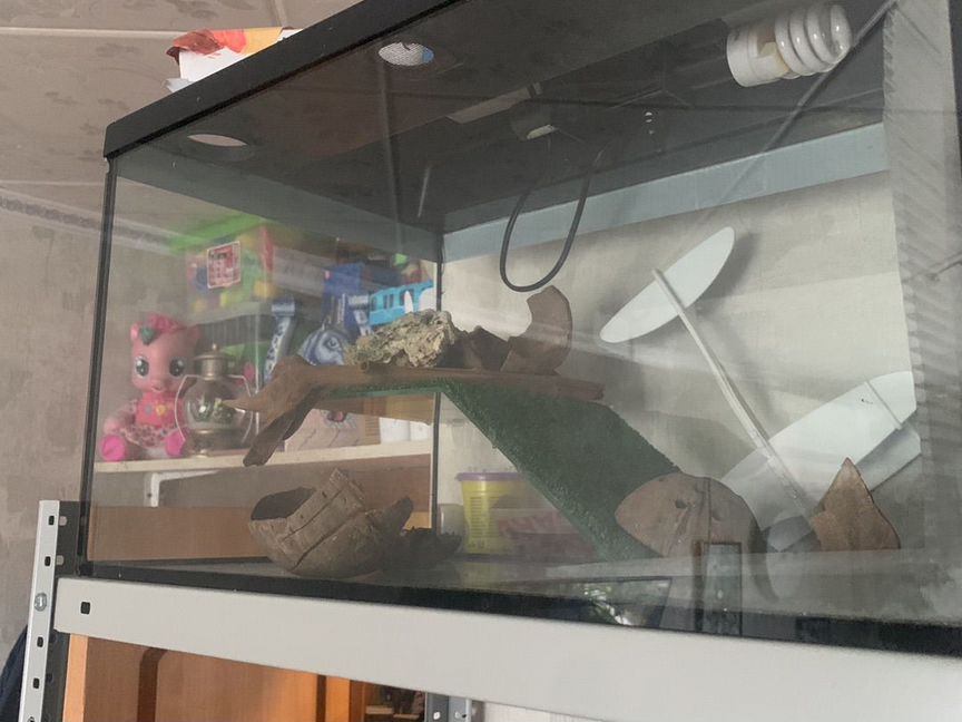 Аквариум- терариумы