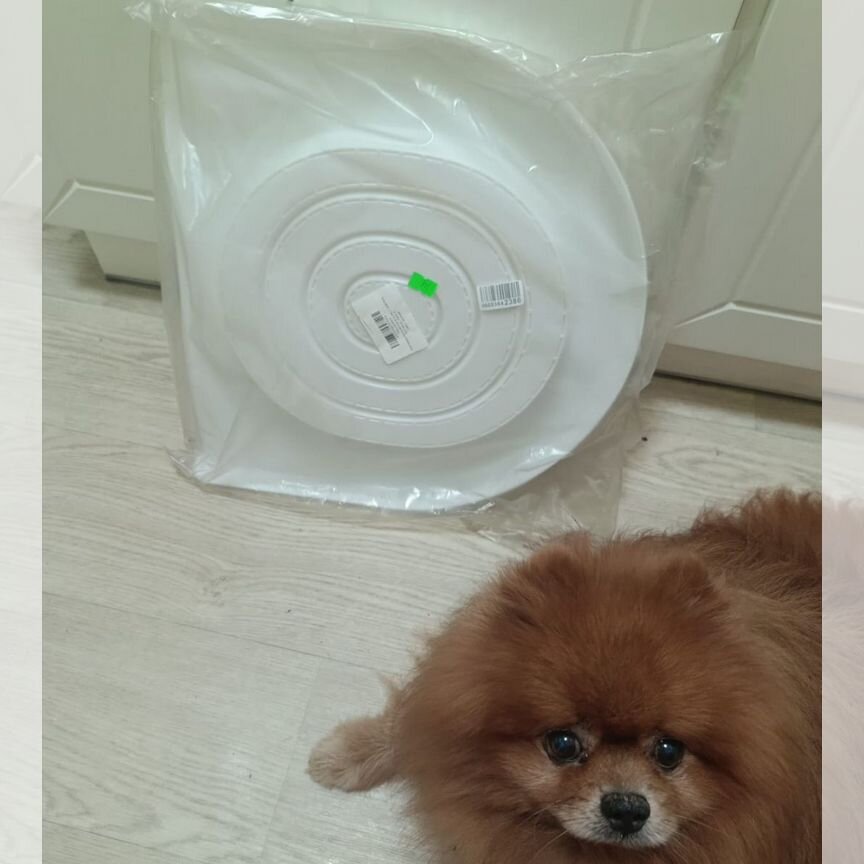 Система к приучению кошки к унитазу