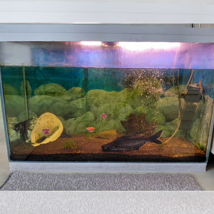 Продам аквариум