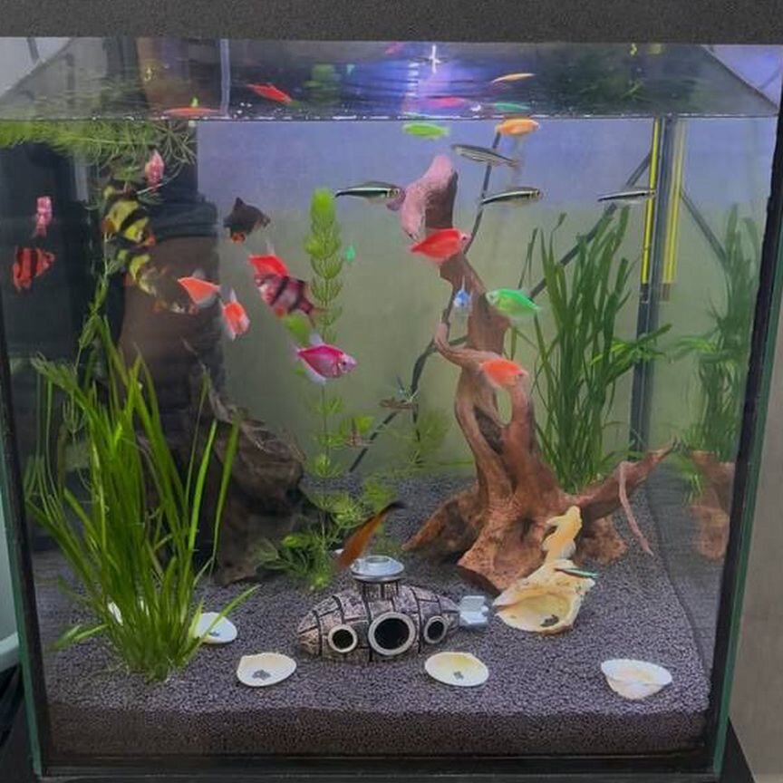 Аквариум 72 литра