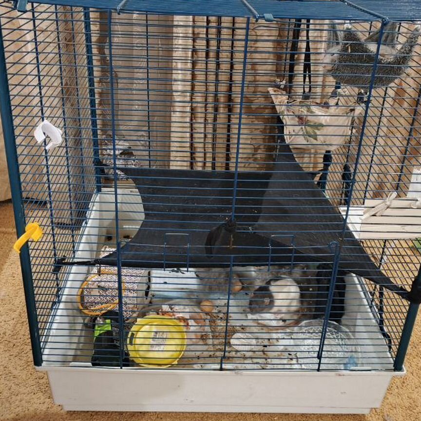 Клетка для животных большая