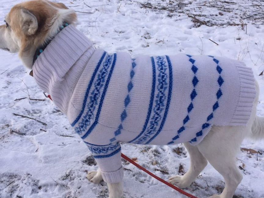 Шью на заказ. Для животных лежанки, выборочно одеж