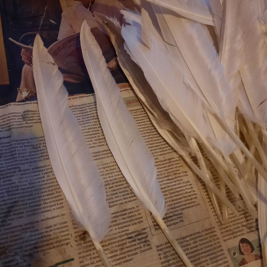 Перо гусиное