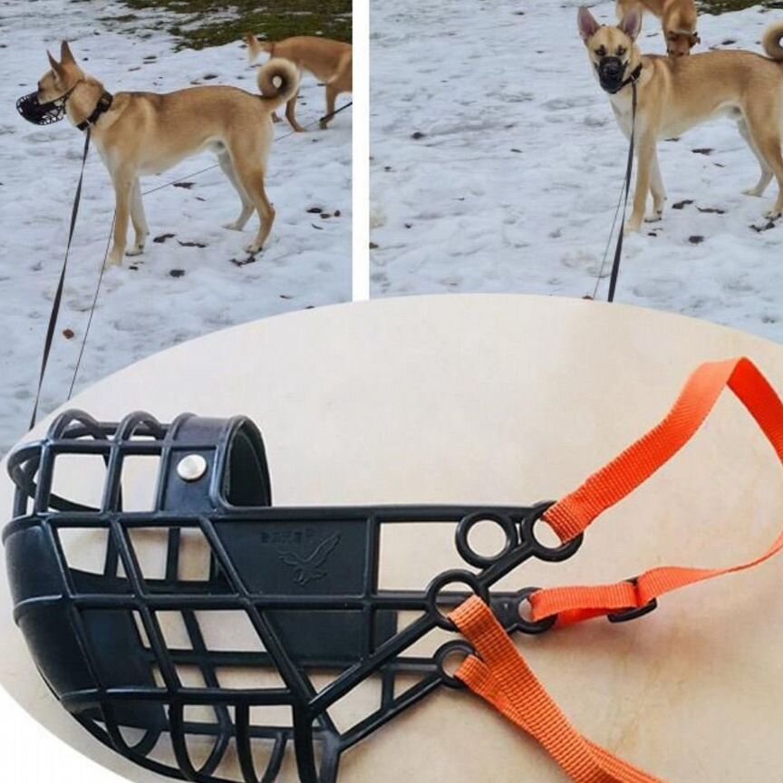 Пластиковый намордник для собак