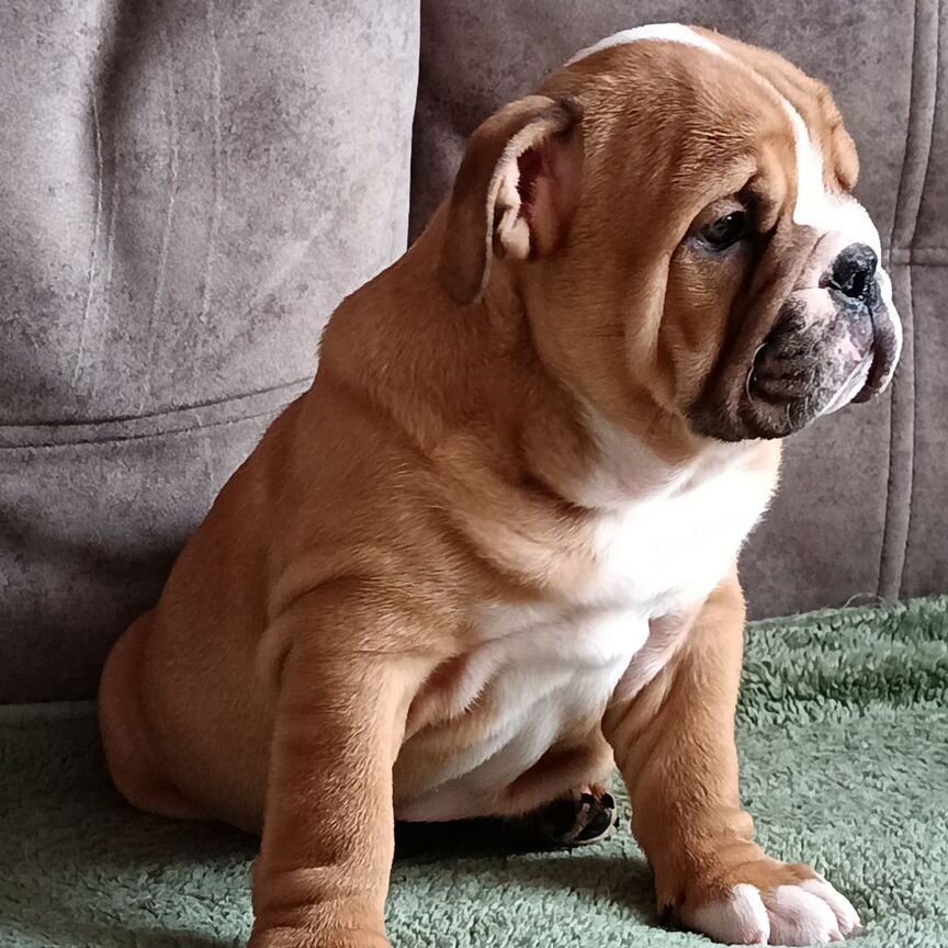 Очаровательный парнишка