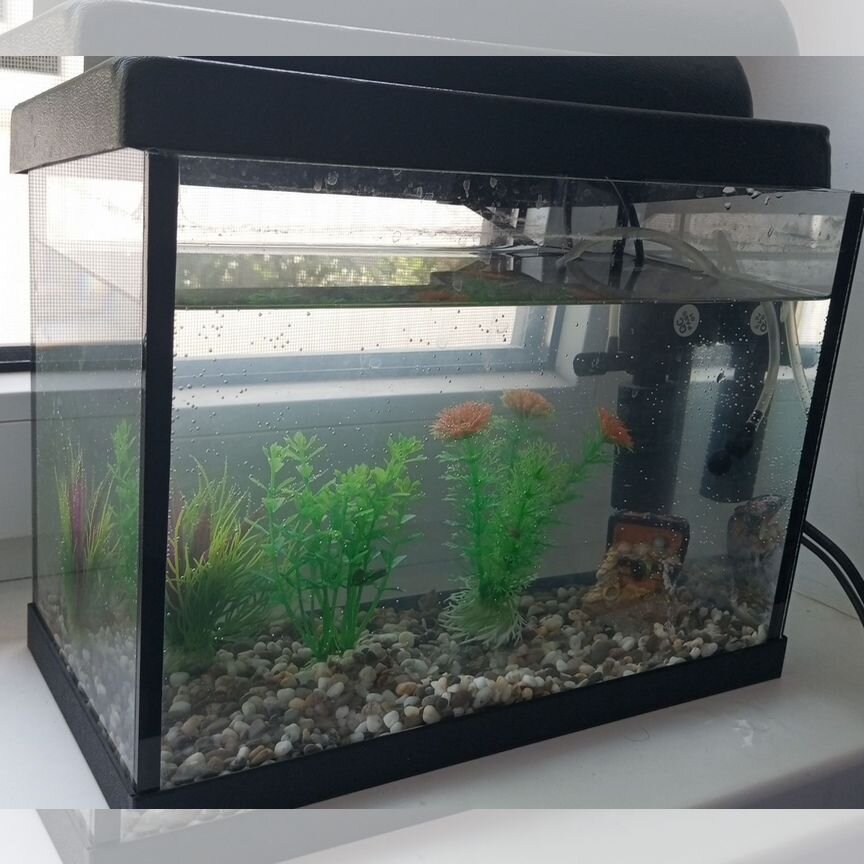 Аквариум с фильтром и декорациями