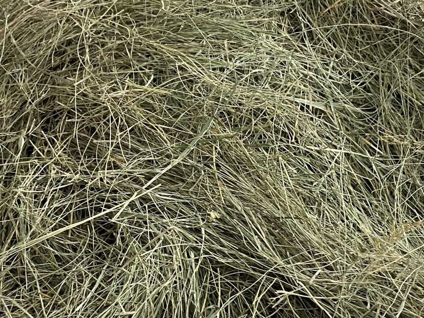 Сено мешок - отборное