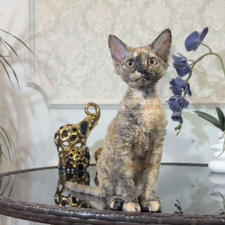 Яркая шикарная девочка