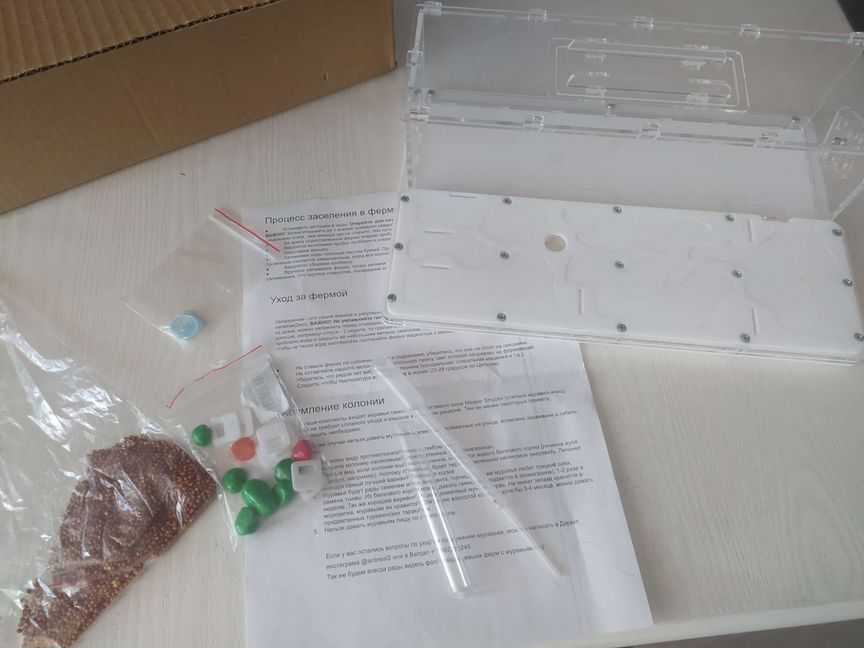 Муравьиная ферма без муравьев