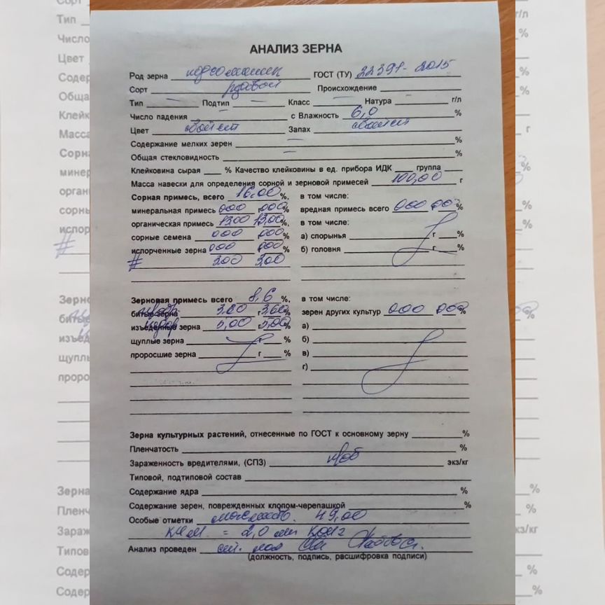 Семечки подсолнечника