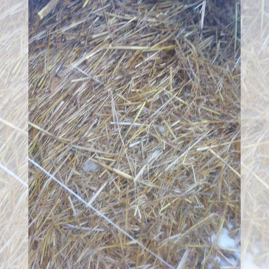Солома в мешках