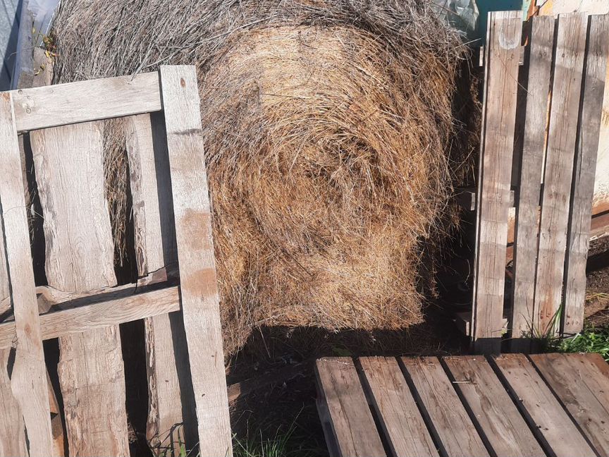 Сено в тюках