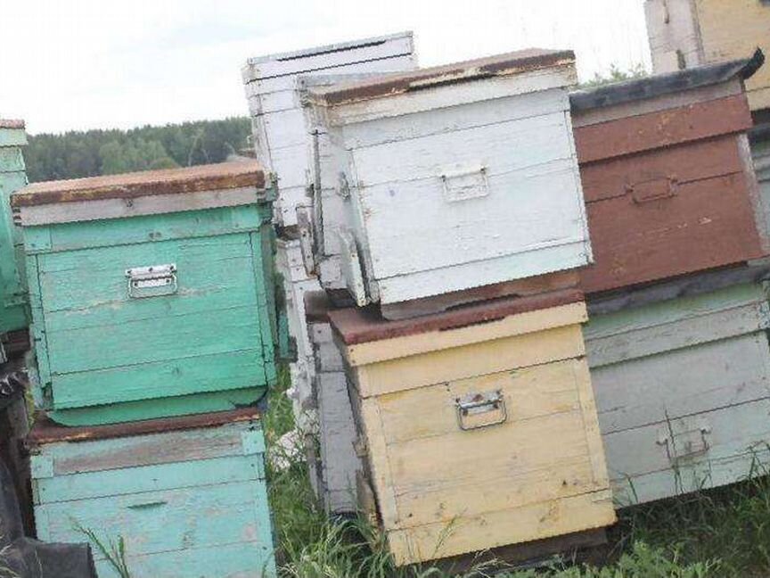 Улей для пчел бу и другой инвентарь
