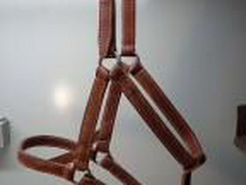 Продам недоуздок для лошади