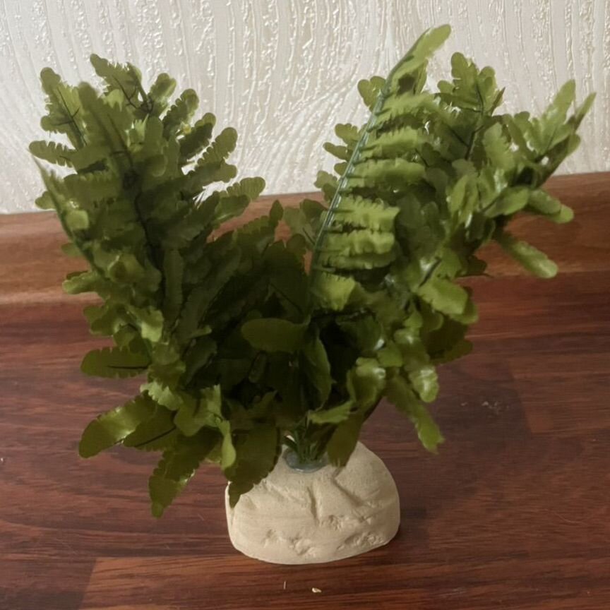 Папоротник Exo-Terra Boston Fern