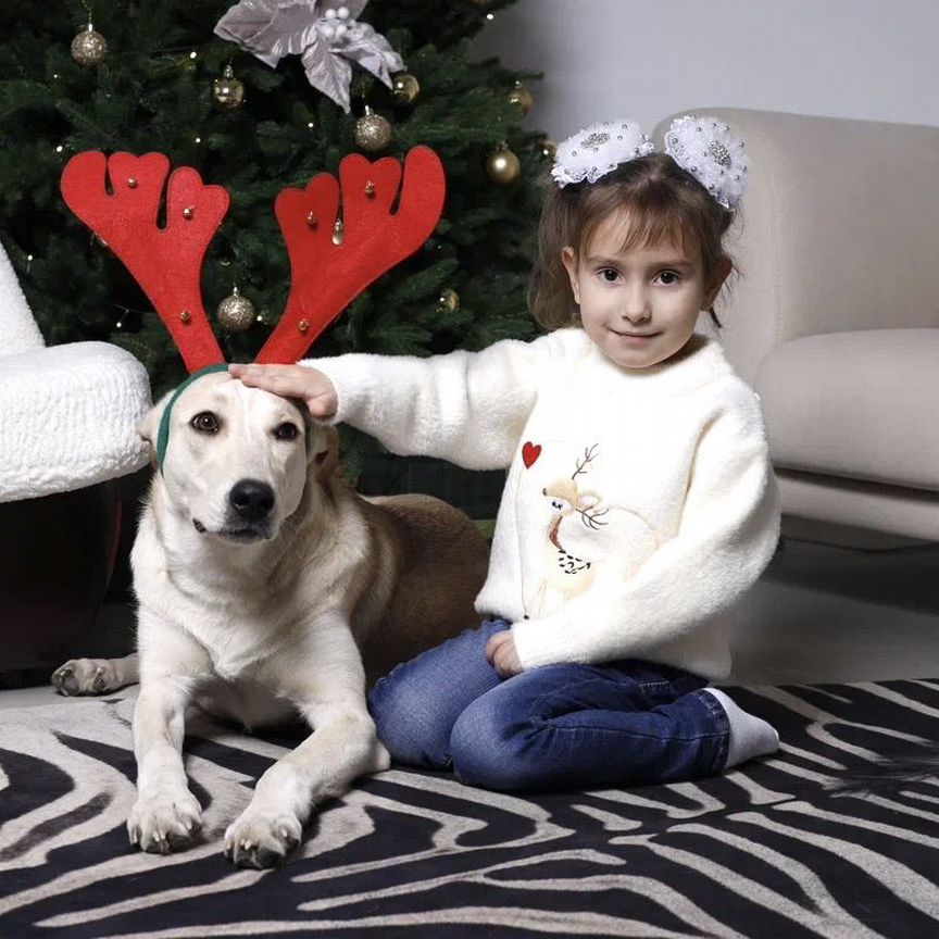 Выбери меня