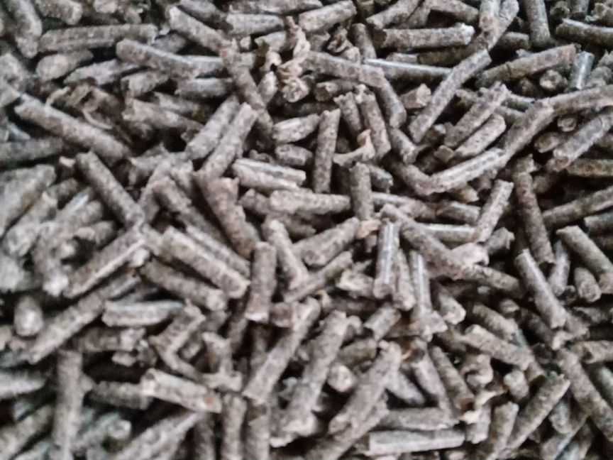 Кормовая гранула из свекольного жома