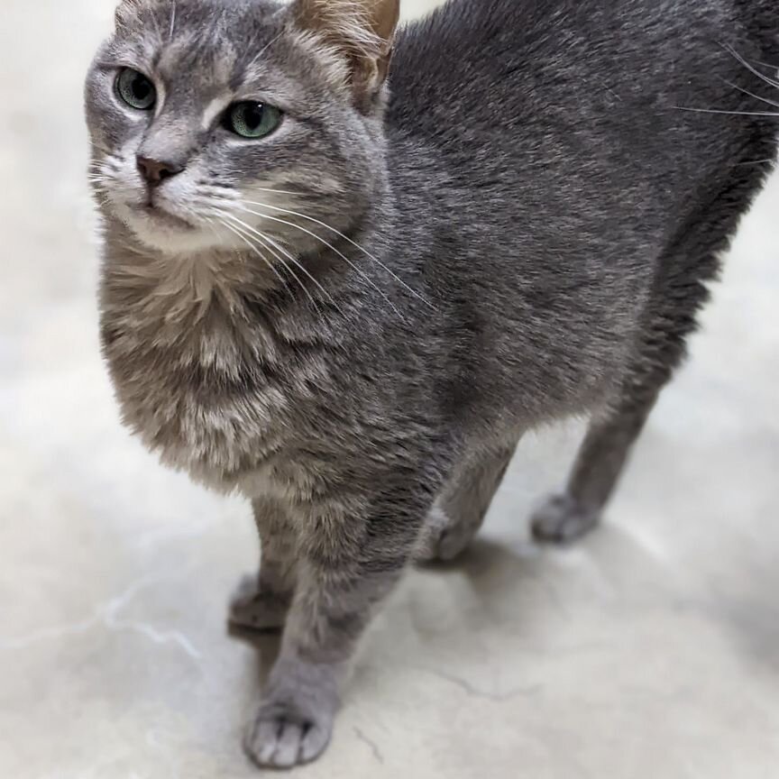 Дакоте нужна семья