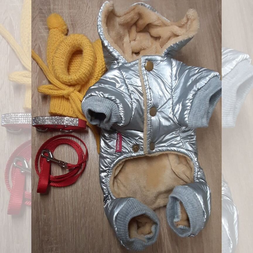 Одежда для кошек