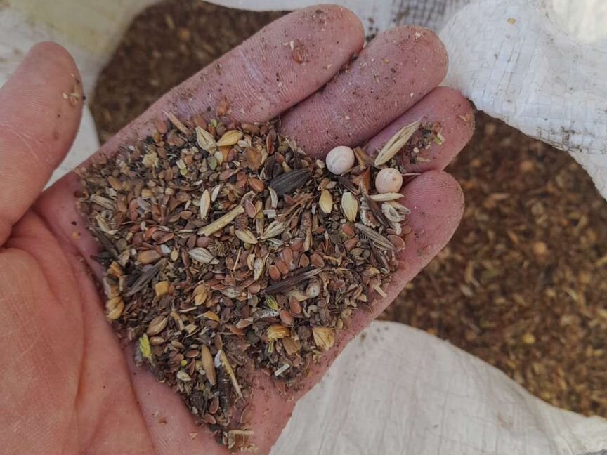 Зерноотходы