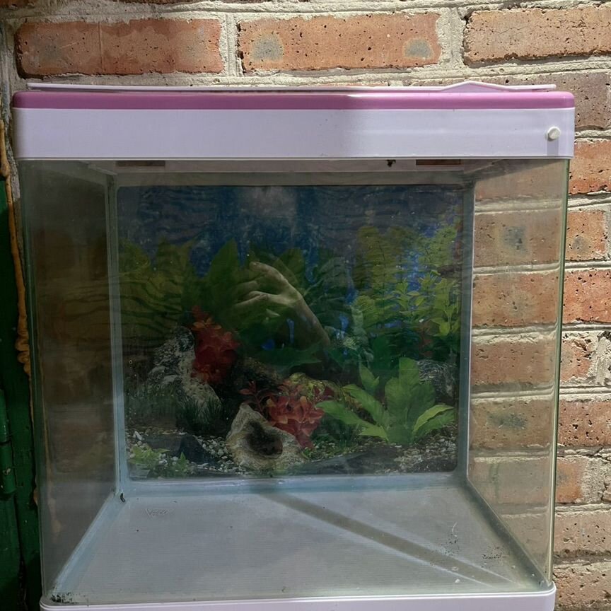 Аквариум 43 л с крышкой