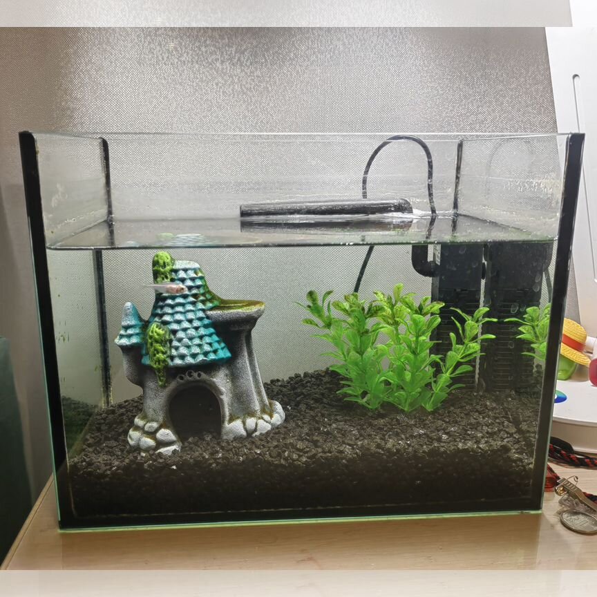 Аквариум с рыбкой