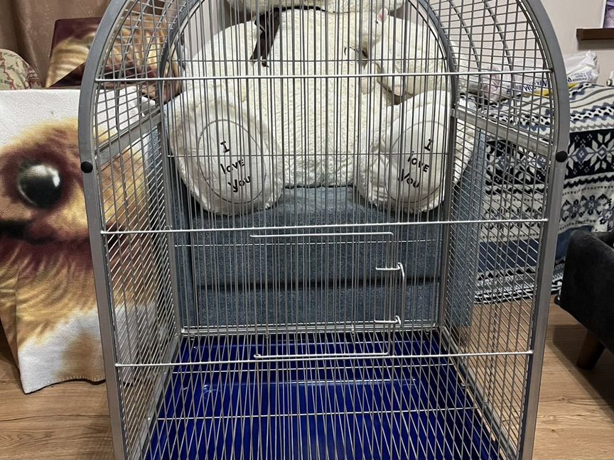 Клетка для птиц большая 100х60х50