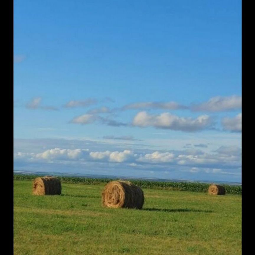 Сено в рулонах и солома