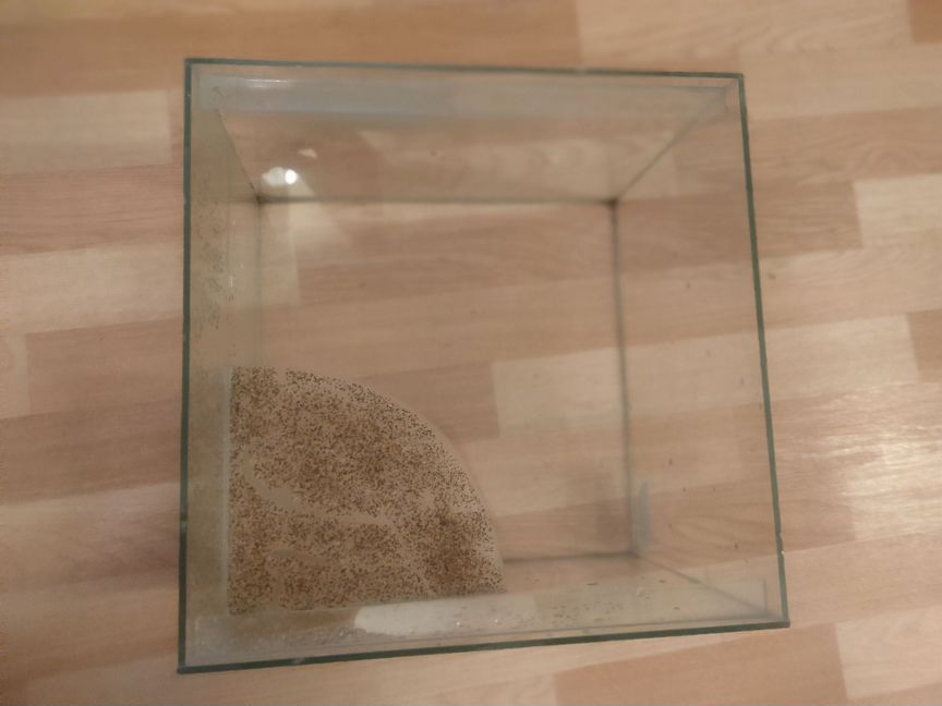 Террариум для красноухой черепахи