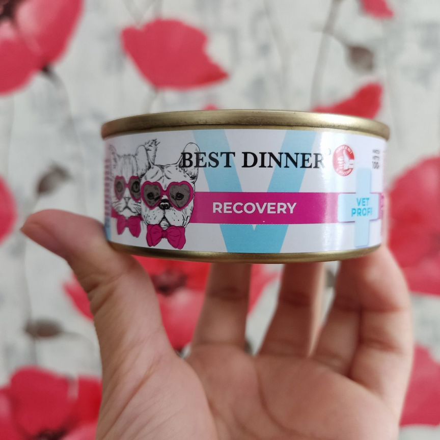 Консервы Best Dinner Vet Profi Recovery лечебный