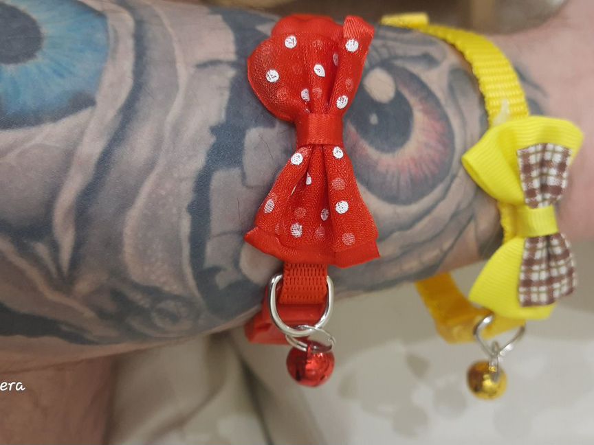 Ошейник для кошек